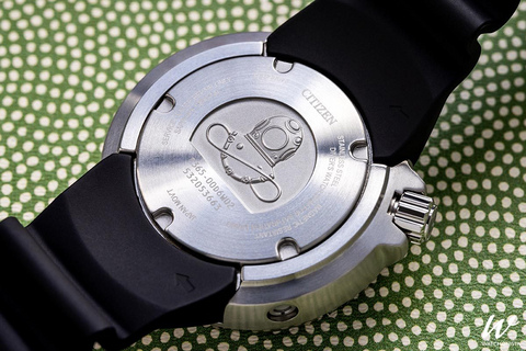 World Oceans Day: The New Promaster Dive E365 and Citizen’s (Under ...