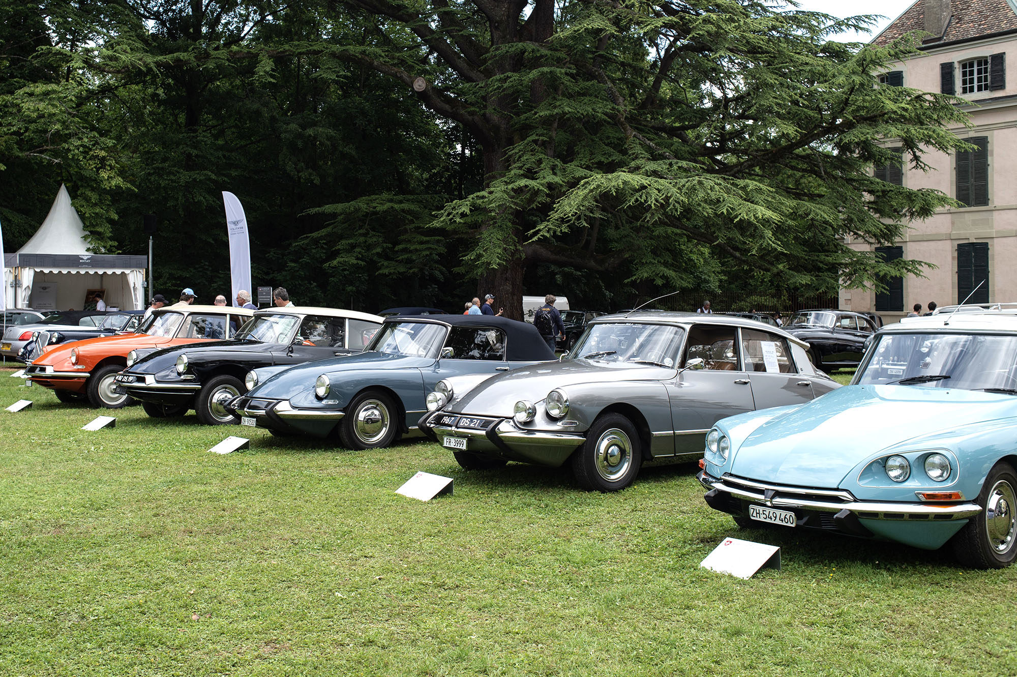 Start Your Engines: A Stylish Look Back At The 2019 Concours d'Élégance ...