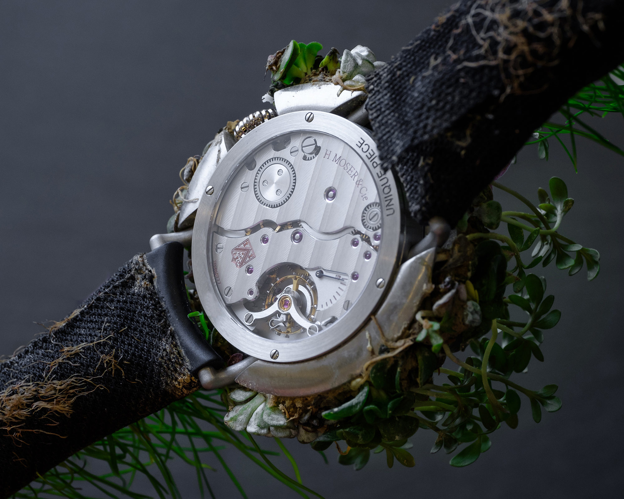 H. Moser & Cie présente la Moser Nature Watch | Watchonista