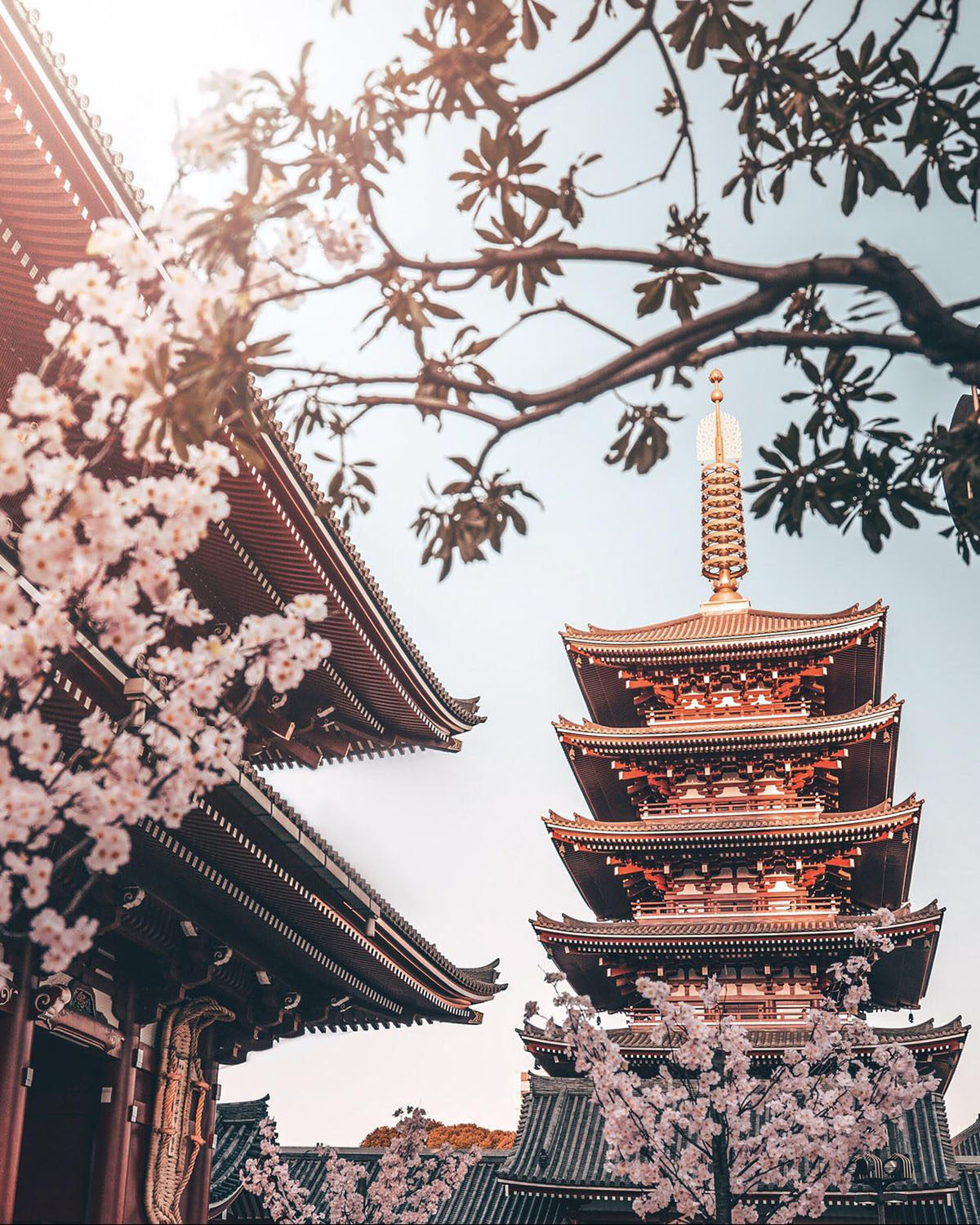 A Closer Look At The Seiko Presage Sharp Edged Series SPB203 And SPB205 ...