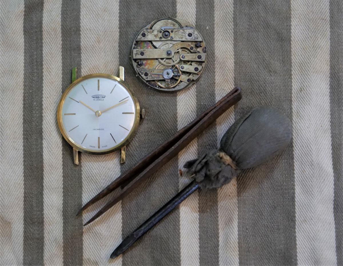 The Epic Tale of How Three Brothers Survived the Holocaust Through ...