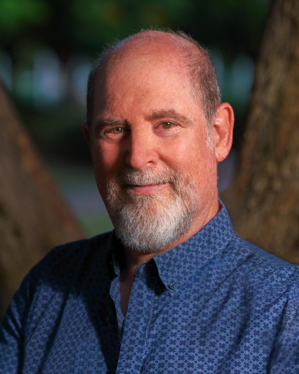 The Epic Tale of How Three Brothers Survived the Holocaust Through ...