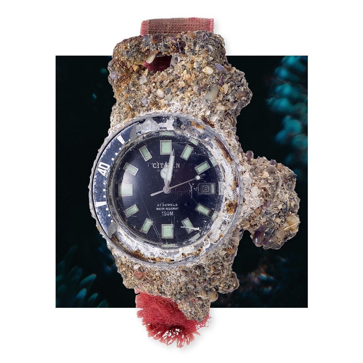 A Dive Watch for All Seasons: A Week on the Wrist with the Promaster ...