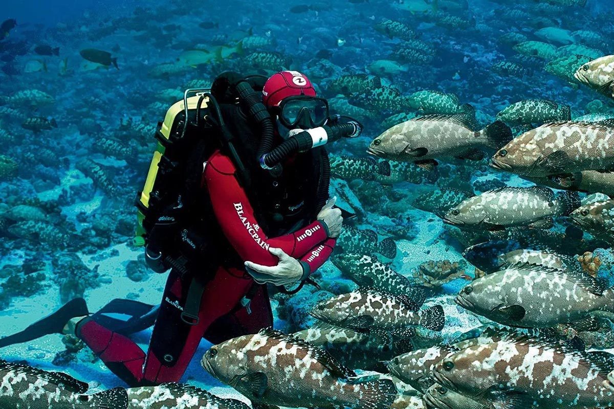 Timing is Everything: The Blancpain Fifty Fathoms Tech Gombessa’s Three ...