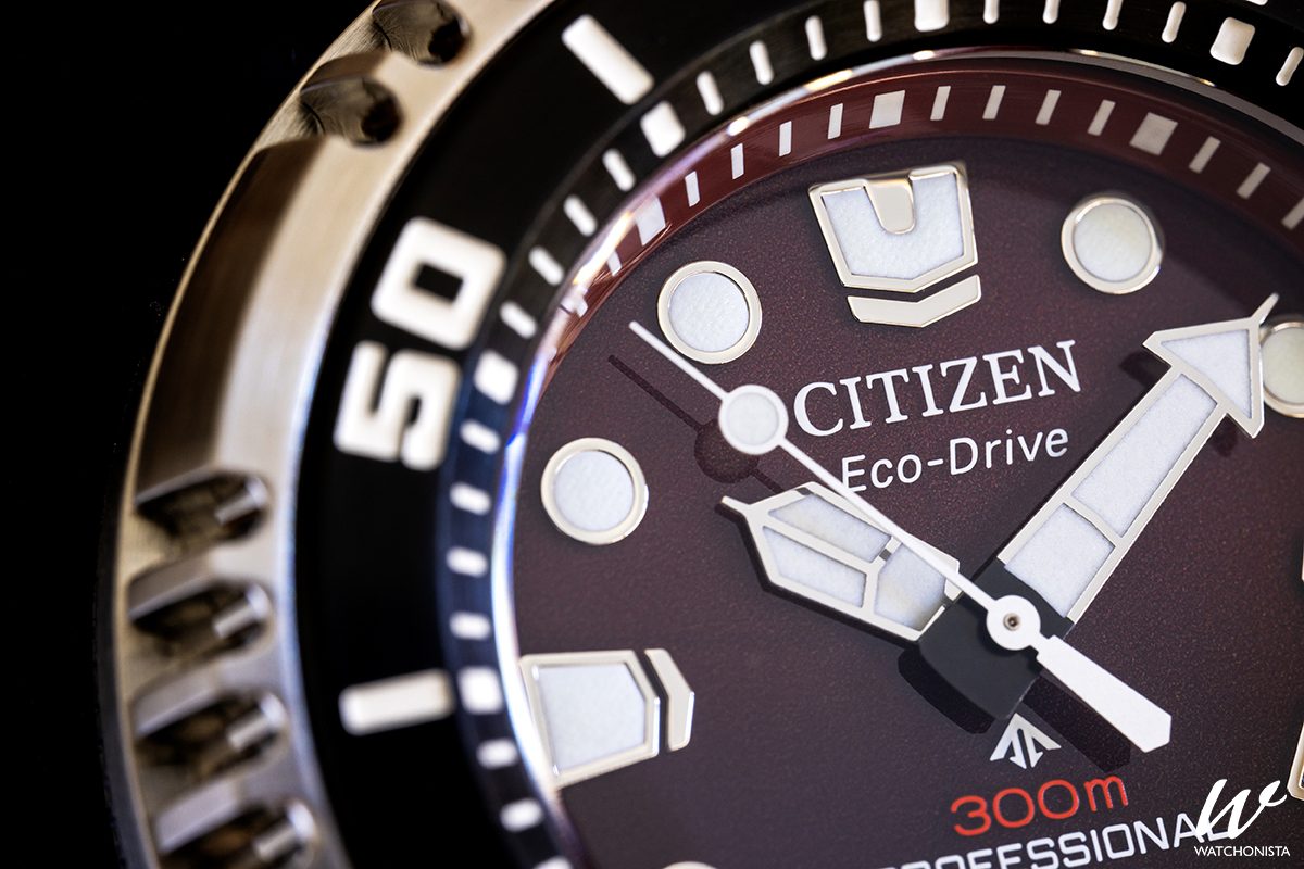 World Oceans Day: The New Promaster Dive E365 and Citizen’s (Under ...