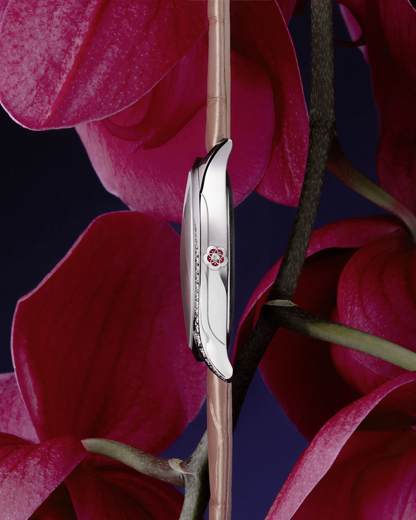 Her Time: Omega’s Trésor Collection Gets New Hues And Materials ...