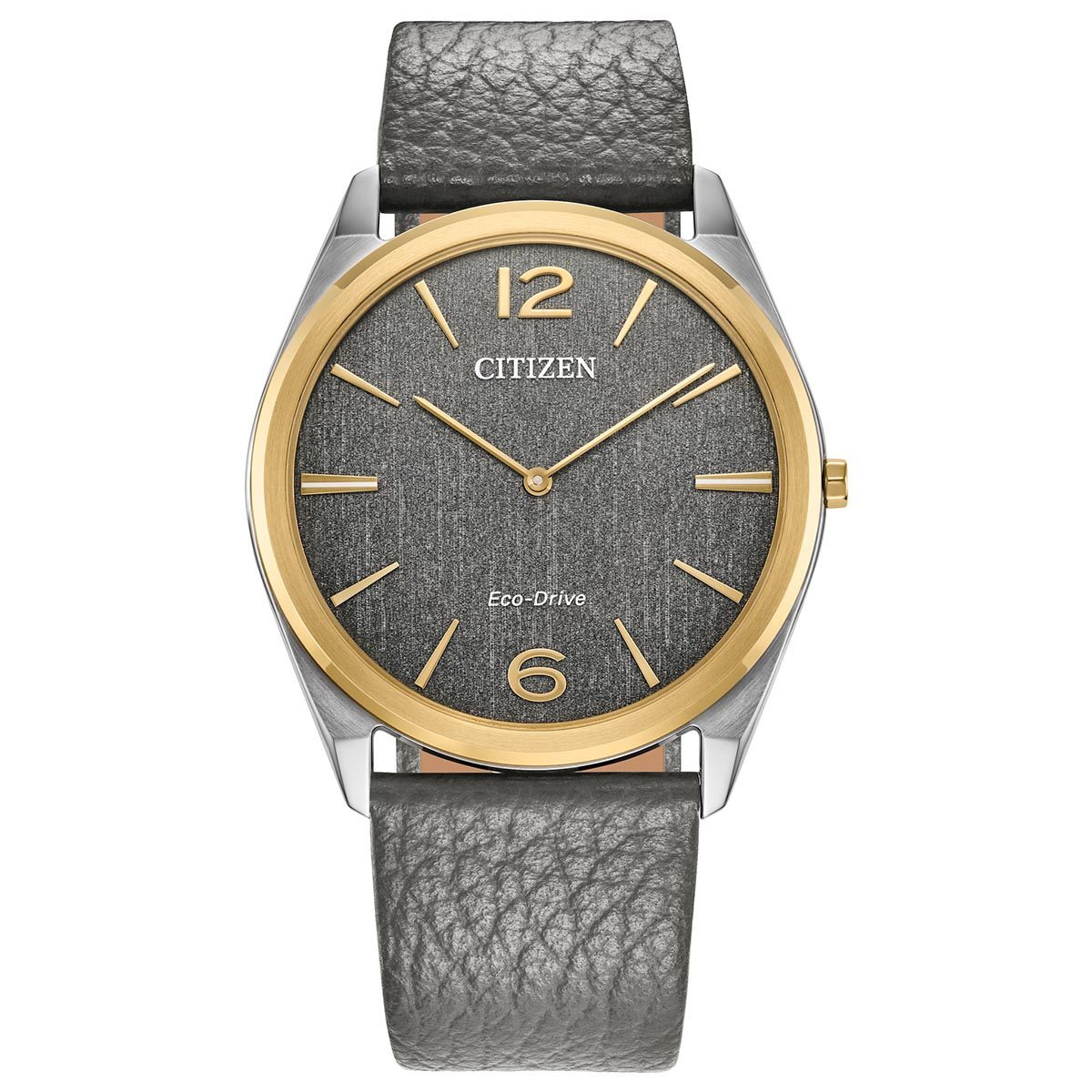Citizen Suratto | Citizen