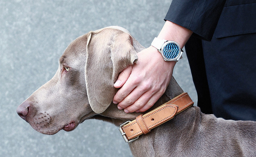 Feather Watch: Quand les heures prennent leur envol | Watchonista